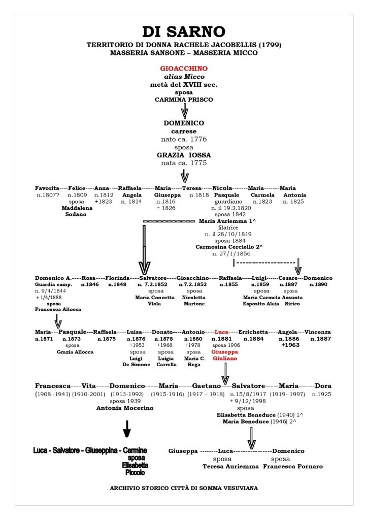 Somma Vesuviana, storia e genealogia della famiglia Di Sarno - Il Mediano
