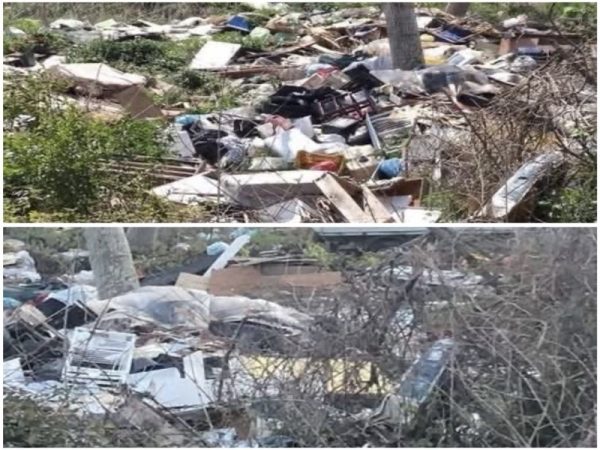Nola, Rione Stella in condizioni invivibili tra ratti e serpenti - Il ...
